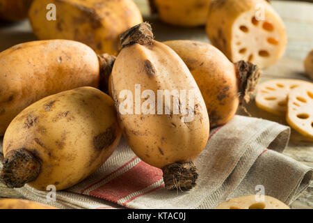 Raw Brown Organic Lotus Root Stock Photo - Alamy
