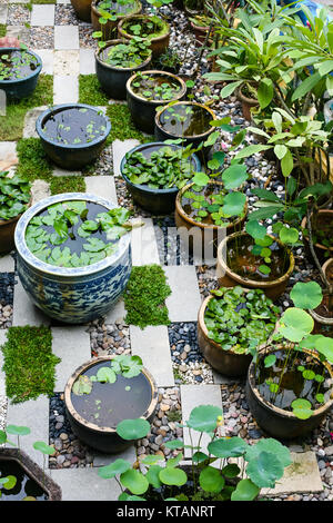Plants, flowerpots, flowerbed the largest Buddhist temple in South East ...