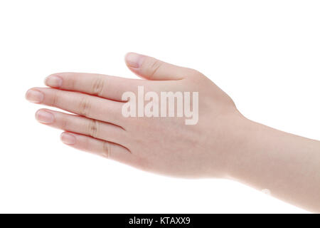 Female hand and wrist anatomy, back, posterior view, Xray outlined skin ...