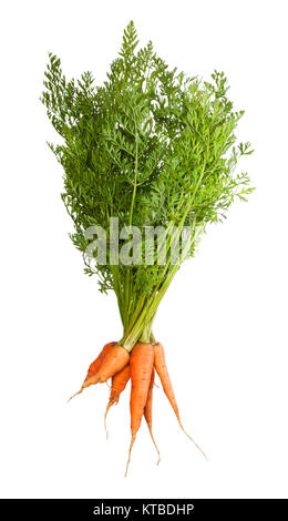 Tops of carrots with green leaves isolated on white, set Stock Photo ...