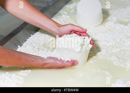 Cheesemaker pours cheese just curdled Stock Photo - Alamy