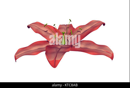 flower with dust threads released Stock Photo - Alamy