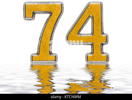 Roman numeral 74, seventy four, star sky texture imitation, reflected ...