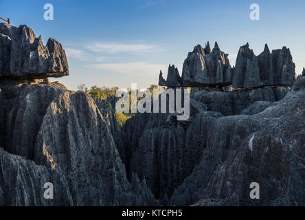 Rugged karst landscape, Tsingy de Ankarana, Ankarana National Park ...