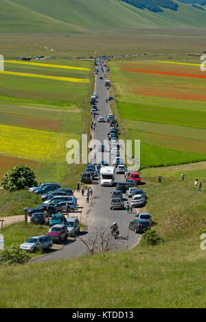 Monti Sibillini National Park, Flowering Pian Grande, Castelluccio di ...