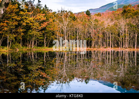 Autumn colors, Hokkaido Stock Photo - Alamy