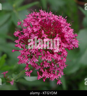 Au bord du chemin 4, meaning 'At the Side of the Road 4' in French ...