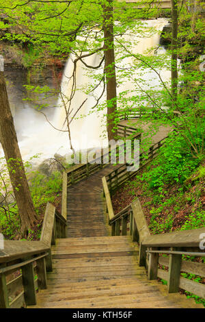 A Boardwalk At Cuyahoga Valley National Park In Ohio Stock Photo Alamy