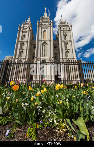 Spring flowers, Mormon Temple, Salt Lake City Stock Photo - Alamy