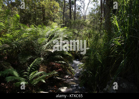 Photograph of Ben Boyd National Park in New South Wales, Australia ...