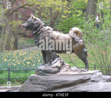 Balto was a famous sled dog known for his heroic journey during the ...