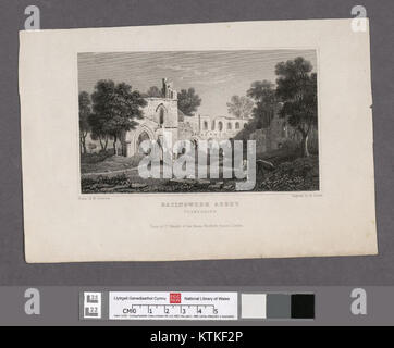 Basingwerk Abbey, located in Flintshire, Wales, was a Cistercian ...