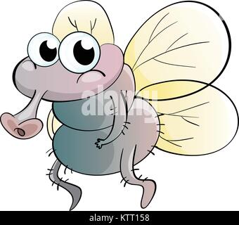 fly is flying. Dirty insect. Animal parasite. Object isolated on white ...
