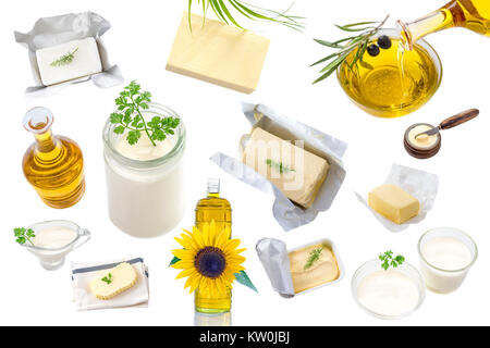 food Fats and oil : set of dairy product and oil and animal fats on a ...
