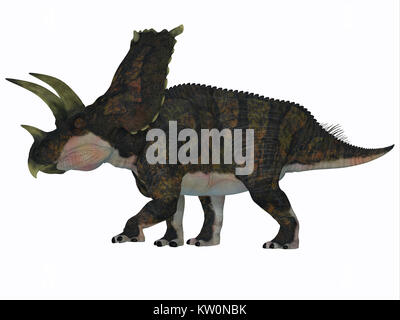 Bravoceratops polyphemus, Late Cretaceous of Texas Stock Photo - Alamy