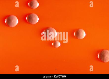 Corynebacterium diphtheriae, Colonial Growth Stock Photo - Alamy