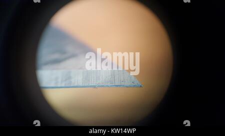 Light microscope image at approximately 30x magnification showing the ...