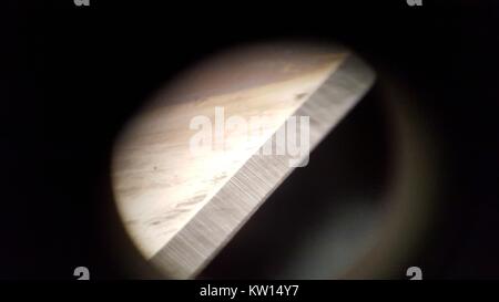 Light microscope image at approximately 30x magnification showing the ...