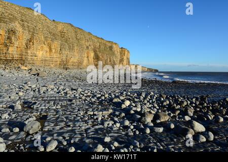 Limestone rock wave-cut platforms on a beach at Point Peron with algae ...