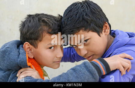Two angry brothers fighting eachother Stock Photo - Alamy