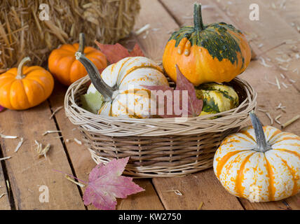 Wicker basket with colorful pumpkins and gourds for Halloween and ...