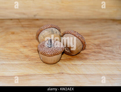 Acorns with shells standing on wood background, oak nuts, close up ...
