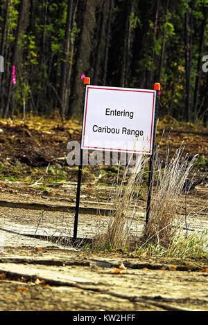 Woodland Caribou sign Stock Photo - Alamy