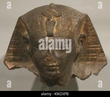 Pharaoh Thutmose III. Head of the statue. Photo from the mid-20th ...