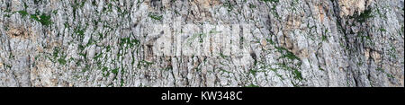 Panorama rocks, Vertical Rock Formation Stock Photo - Alamy