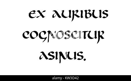 alphabet in calligraphy Stock Photo - Alamy