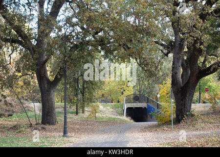 Bidwell Park in Chico, California, is one of the largest municipal ...