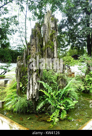 The Bonsai collection at Baihuatan Park in Chengdu, China, showcases a ...