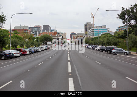 Urban trees on Rundle Road, the focus of tree protests in the Nether ...