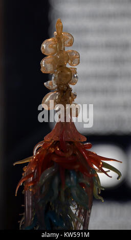 The Blaschka Natural History Museum in London showcases the detailed ...