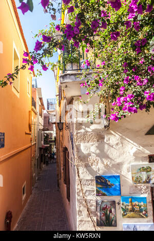 Bougainvillea flowers growing in the streets of Puerto de Mogan. Gran ...
