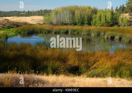 Scabland pond, Fishtrap Recreation Area, Spokane County, Washington ...