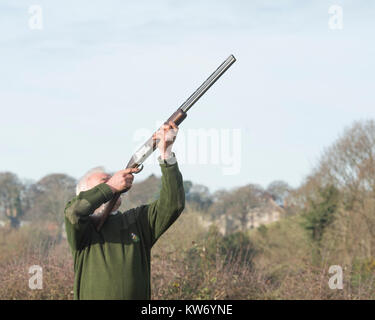 Game bird shoot with man aiming a shotgun at a pheasant flying over ...