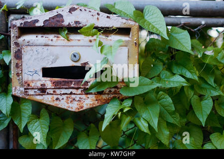 Ancient green mail box a close up Stock Photo - Alamy