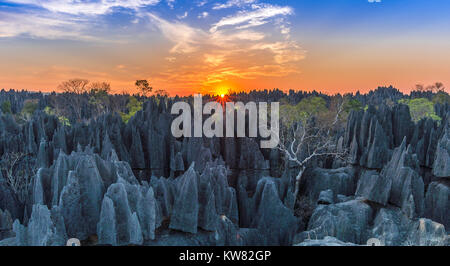 Tsingy de Bemaraha at sunrise, Madagascar Stock Photo - Alamy