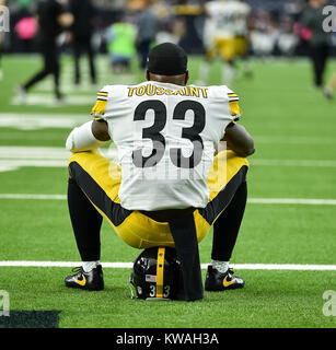 Pittsburgh Steelers running back Fitzgerald Toussaint (33) plays in an ...