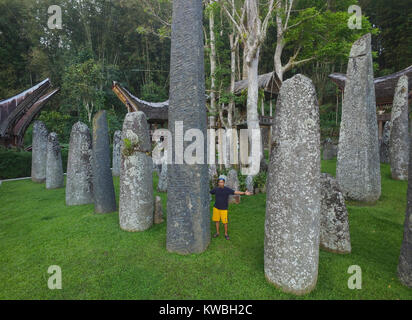 Bori Kalimbuang Megalithic sites in Tana Toraja Stock Photo - Alamy