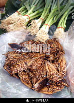 Giant water bugs (aka water scorpions, maeng da) amongst other foods ...