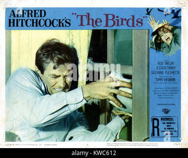 THE BIRDS, Rod Taylor, 1963 Stock Photo - Alamy