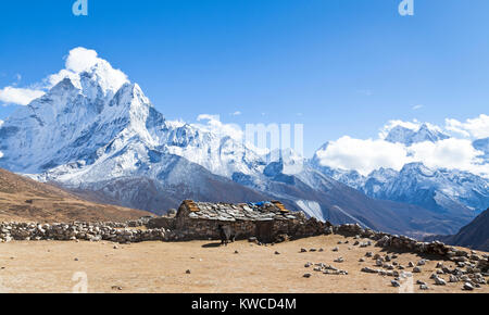Himalayas, Nepal,5000 m above the sea level in Sagarmatha Park on the ...