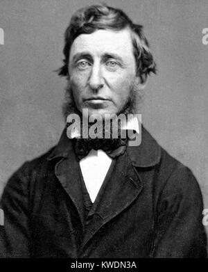Henry David Thoreau. Portrait of the American poet and philosopher ...