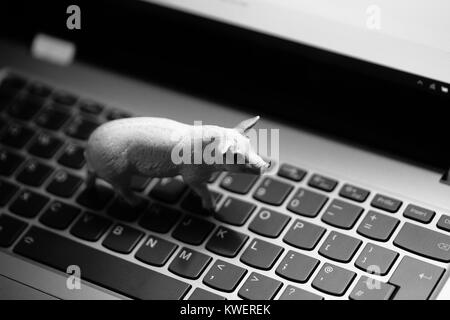 Toy pig on laptop keyboard - domestic animals and agriculture in the ...