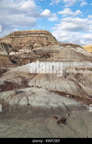 Eroded slopes in Alberta badlands, with sandstone layer above bentonite ...
