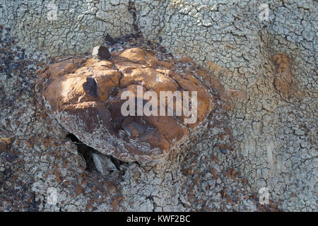 Red Ironstone layer in bentonite clay in Alberta badlands, Canada Stock ...