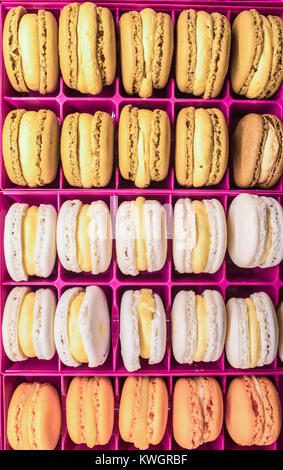 Closeup shot of cute cream French Bulldogs outdoor Stock Photo - Alamy