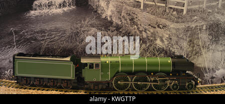 A model of an A3 locomotive on a scenic background Stock Photo - Alamy